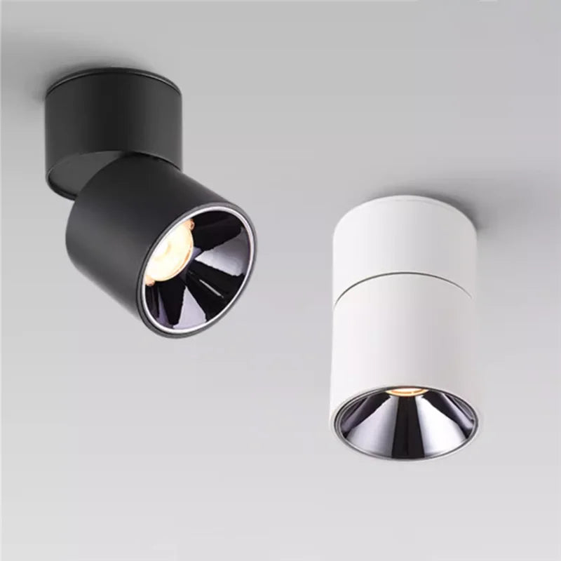 Muireann - Modern Surface Mounted Dimmable LED Ceiling Downlight ...