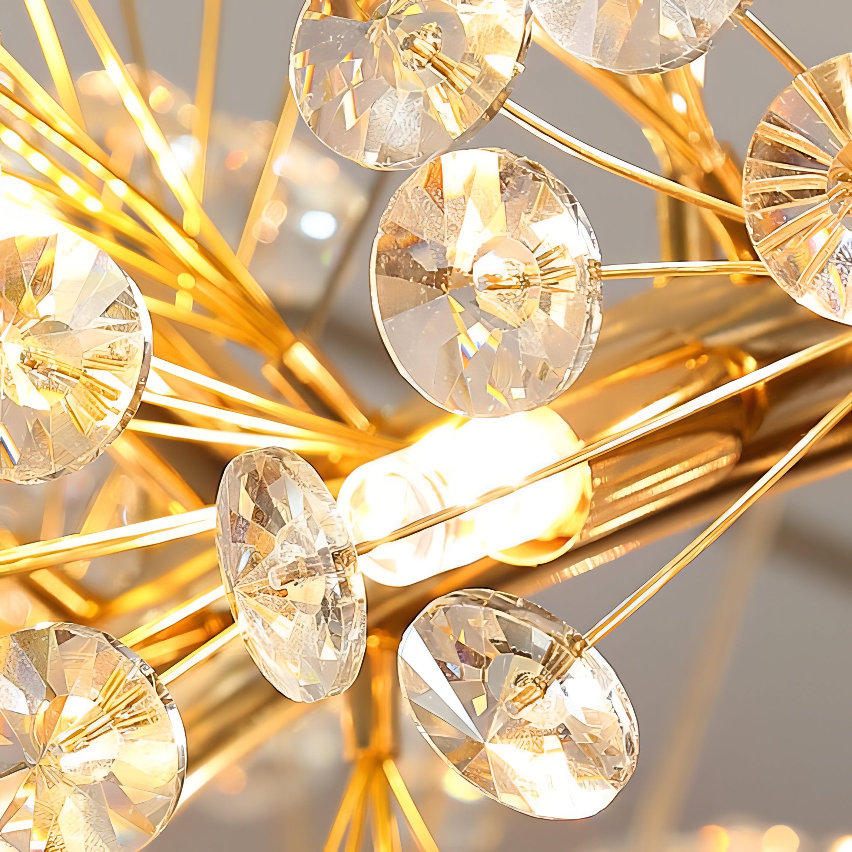 Abdiel - Glass Dandelion Gold Frame Round Clear Crystal Ceiling Light ...