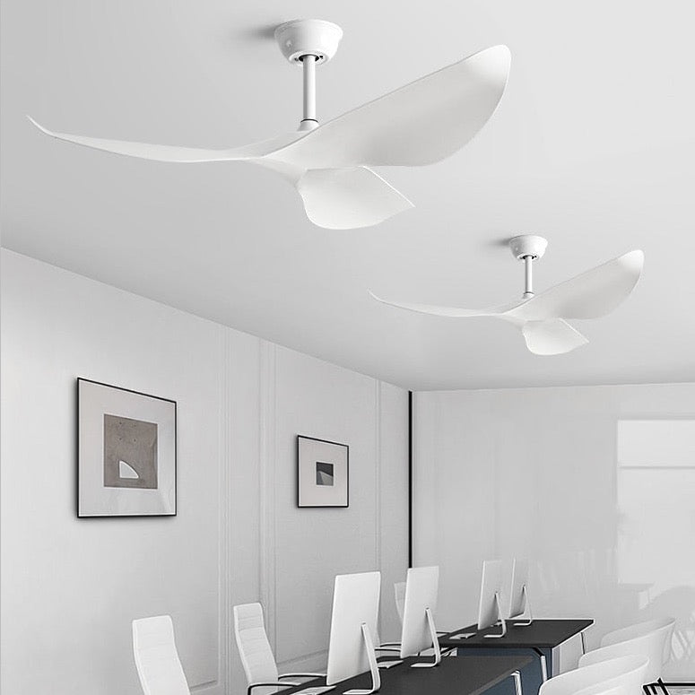 Reina - Modern Remote Control Ceiling Fan – Abode Jungle